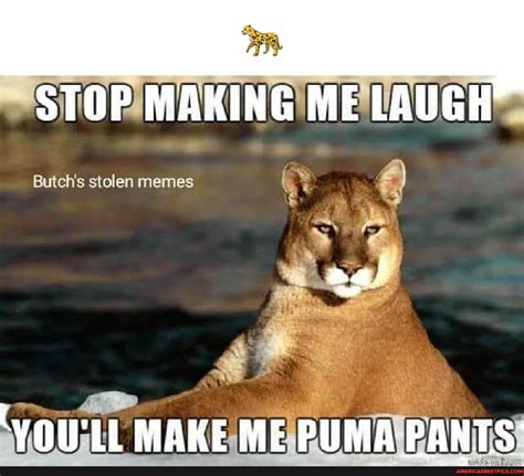 Stop Making Me Laugh Butchs Stolen Memes Youll Make Me Puma Pants