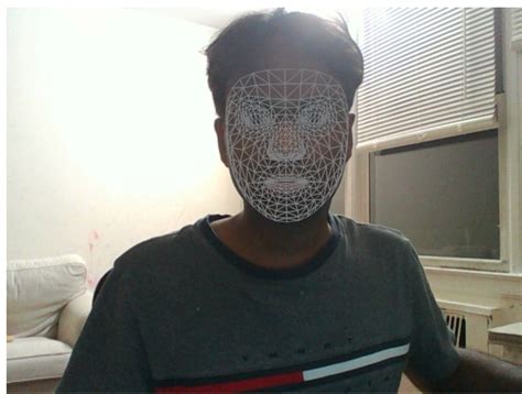 Facial Landmarks Detection Using MediaPipe Face Mesh In TensorFlow Js