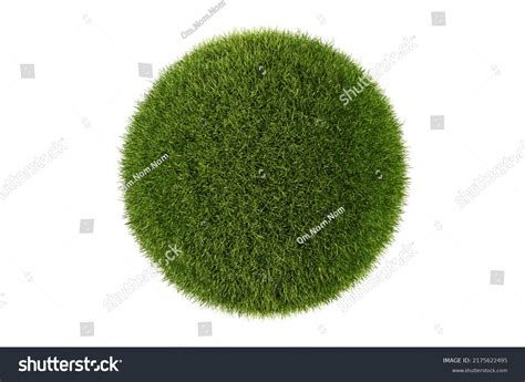 Grass Sphere Isolated On White Background Stock Illustration 2175622495