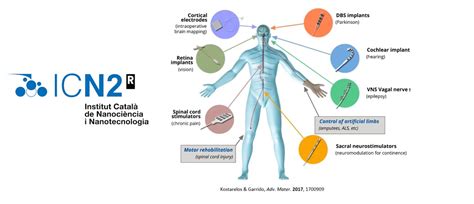 Neurotec Neurotec Lecture Series Next Generation Neural Interfaces Based On Graphene