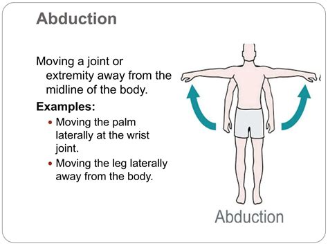 Range Of Motion Exercises PPTX