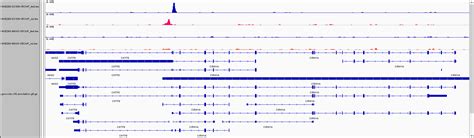 R Loop数据分析之r Chip样本间bam比较和可视化 Csdn博客