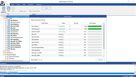 Save Repaired Sql Database In Different Formats