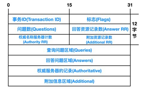 万字长文爆肝 Dns 协议！ Dns协议详解