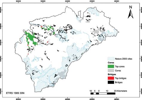 combining pattern and connectivity analysis for efficient forest download scientific diagram