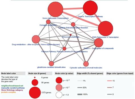 Methylation And Transcriptome Analysis Reveal Lung Adenocarcinoma