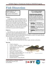 FISH LAB REPORT DEPARTMENT OF BIOLOGY FACULTY OF SCIENCE AND MATHEMATICS SULTAN IDRIS