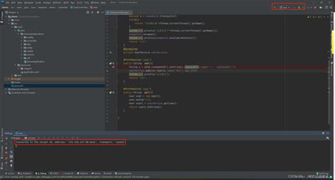 springboot 进行远程调试详细步骤 springboot 远程调试 csdn博客