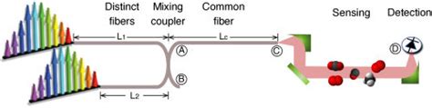 Typical Dual Comb Spectroscopy Setup Where Both Interferometer Arms Download Scientific Diagram