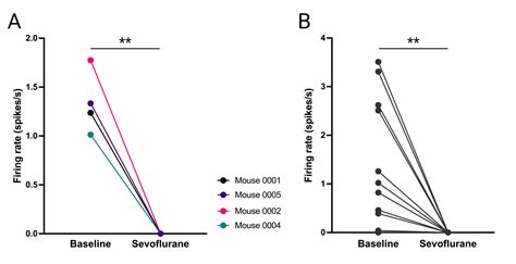 Video Author Spotlight Investigating Anesthesia Induced Sleep Pathways And Neuronal