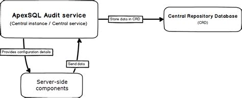 Apexsql Audit Installation Terms Definitions And Network Topography