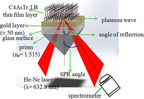 A Schematic Diagram Of The Surface Plasmon Resonance Measurement System