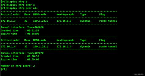 Ipsec实验（ipsecvpn点到点，dsvpnipsecvpn旁挂）ipsec 实验 Csdn博客