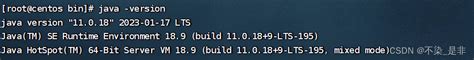 安装jdk环境（jdk11）centos系统centos安装jdk11 Csdn博客