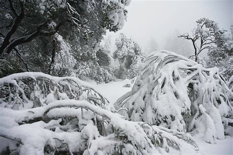 Feb 24 2023 2023 026 Beth Rodda Flickr