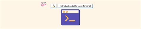 introduction to the linux terminal scaler topics
