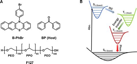Ch π Interaction Induced Triplet Excimer For Enhanced Phosphorescence Bio Imaging Cell Reports