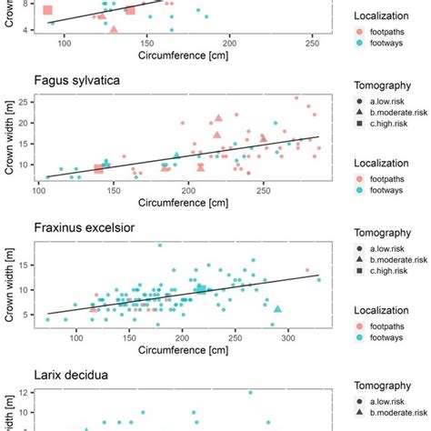 The Relationship Between Tree Size Crown Width Circumference Tree Download Scientific