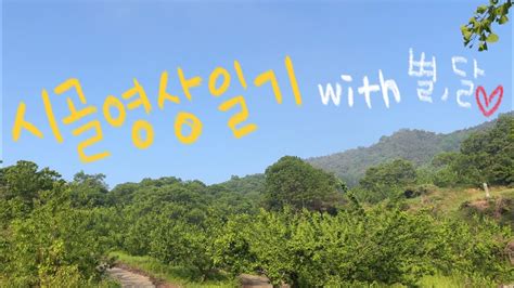 시골영상일기 다시 돌아온 시골 살이 고추밭 가지와 풀 메는 농사꾼 거기에 우리 강아지를 곁들인 시골 영상일기 Youtube