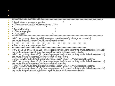 Message Properties Component In Mule Ppt