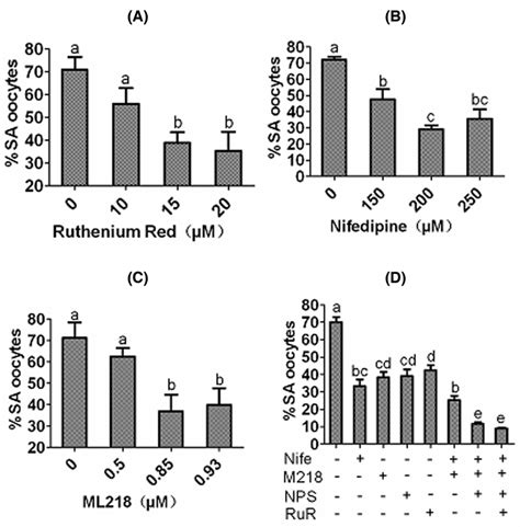 Rates Of Sa After Rat Oocytes Recovered At 19 H Post Hcg Injection Were