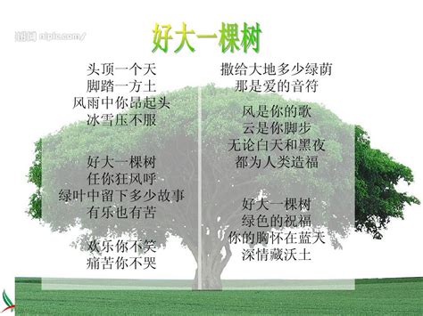 17、《少年闰土》word文档在线阅读与下载无忧文档