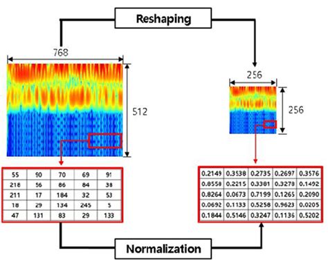Size Conversion And Normalization Of Spectral Images Download