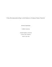 Policy Recommendation Paper Docx Policy Recommendation Paper On The Reduction Of Intimate
