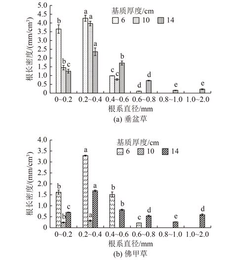 绿色屋顶景天植物根系分布特征及其对饱和导水率的影响