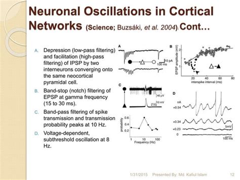 Local Field Potential Lfp Literature Review Ppt
