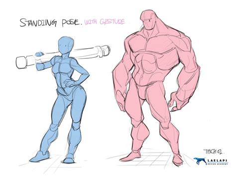 Master Study Anatomy Updated On Behance