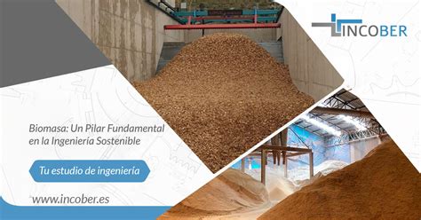 Biomasa Un Pilar Fundamental En La Ingeniería Sostenible Incober Sl