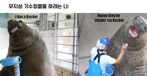 정렬 기수정렬 radix sort