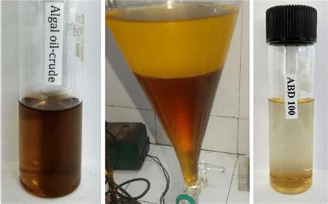 Algal Oil Transesterification Process Download Scientific Diagram
