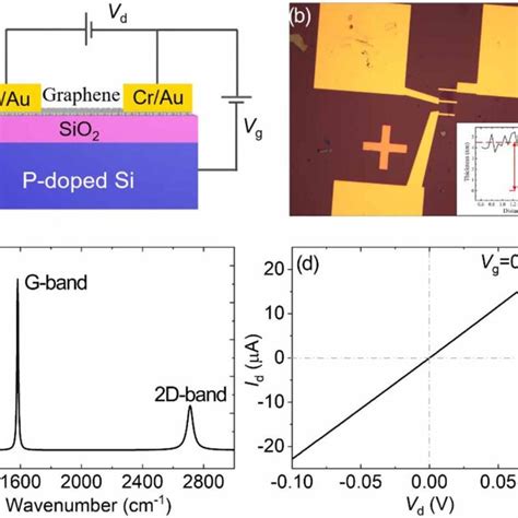 Schematic A And Micro Photograph B Of The Back Gated Gfetsio2 With