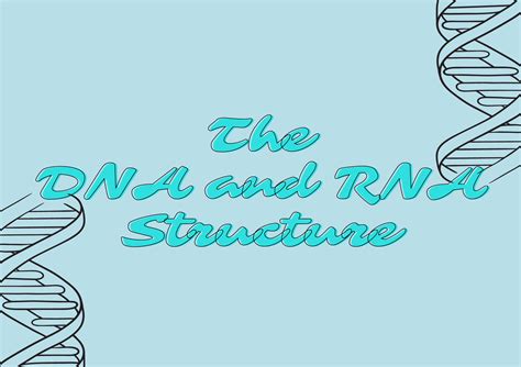 Dna Vs Rna Science Poster In Light Blue Green Lined Style Thethe Dna And Rna Dna And Rna