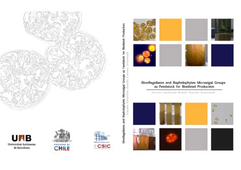 Pdf Dinoflagellates And Raphidophytes Microalgal Groups As Feedstock