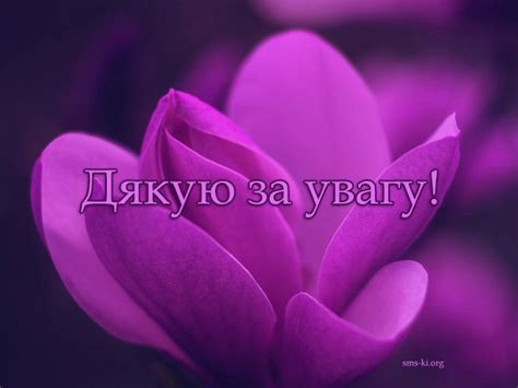 Дякую за увагу фіолетова листівка Листівка Дякую Завантажити на телефон Sms