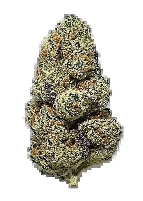Tequila Sunrise Cannabis Strain Information Growdiaries