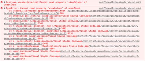 Cannot Read Property ViewColumn Of Undefined Issue Microsoft Vscode Java Test GitHub