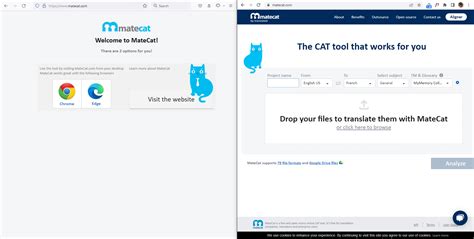 Matecat See Bug Description Issue Webcompat Web Bugs GitHub