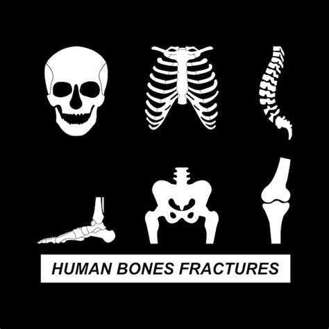Premium Vector Human Bones Fractures Icon