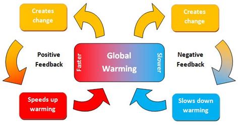 Positive Feedback Loop Examples