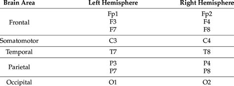 Selected Sections Of The Brain For Data Analysis Download Scientific