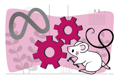 How To Build A Meta Ad Campaign Social Media Marketing Tips