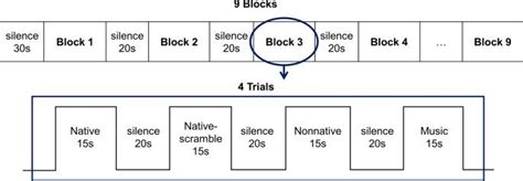 Fen Zhang On Linkedin Atypical Brain Lateralization For Speech
