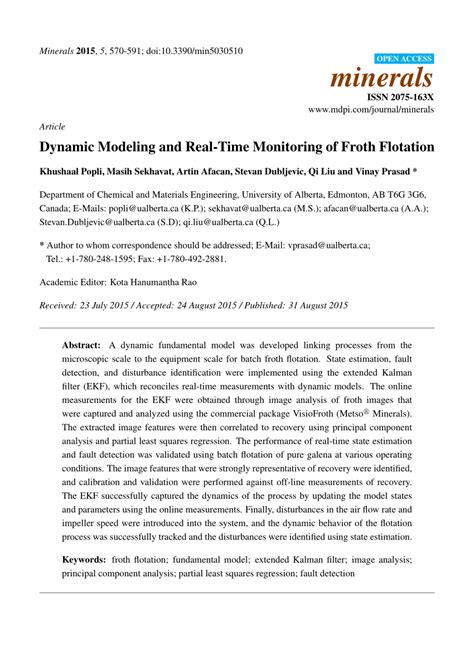 Pdf Dynamic Modeling And Real Time Monitoring Of Froth Flotation
