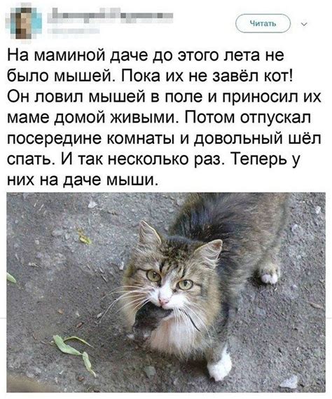 Позитивные приколы / Приколы