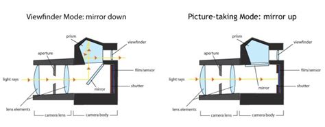 Cara Kerja Kamera Digital Dan Perbedaan Tiap Jenis Kamera Rumor Kamera Digital Light Sensor