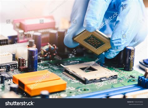 Technician Laying Cpu On Socket Computer Stock Photo Shutterstock